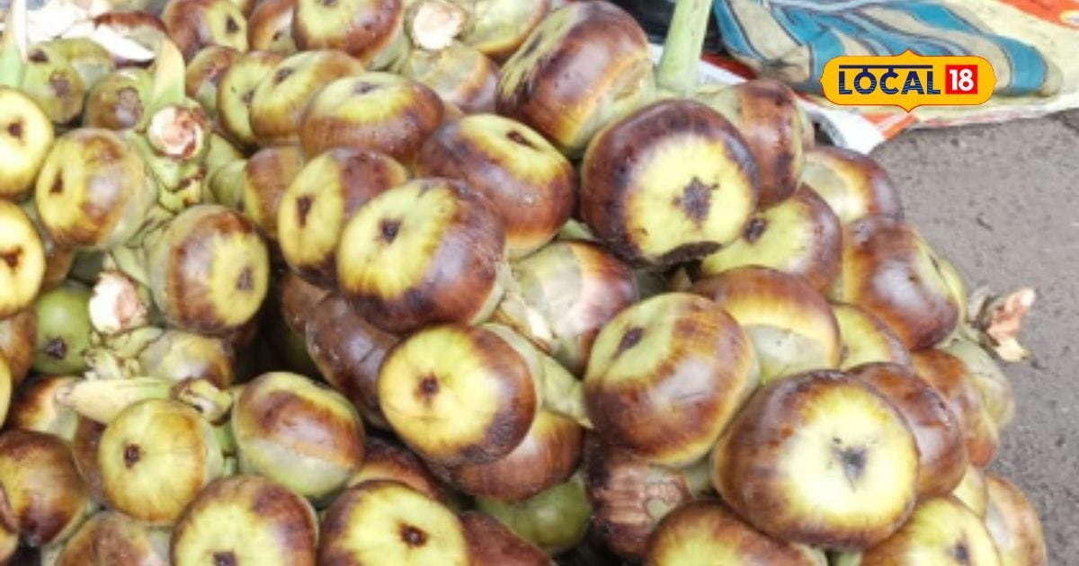 साल में केवल एक बार मिलता है ये फल, कब्ज को चुटकी बजाते कर देता है दूर ...