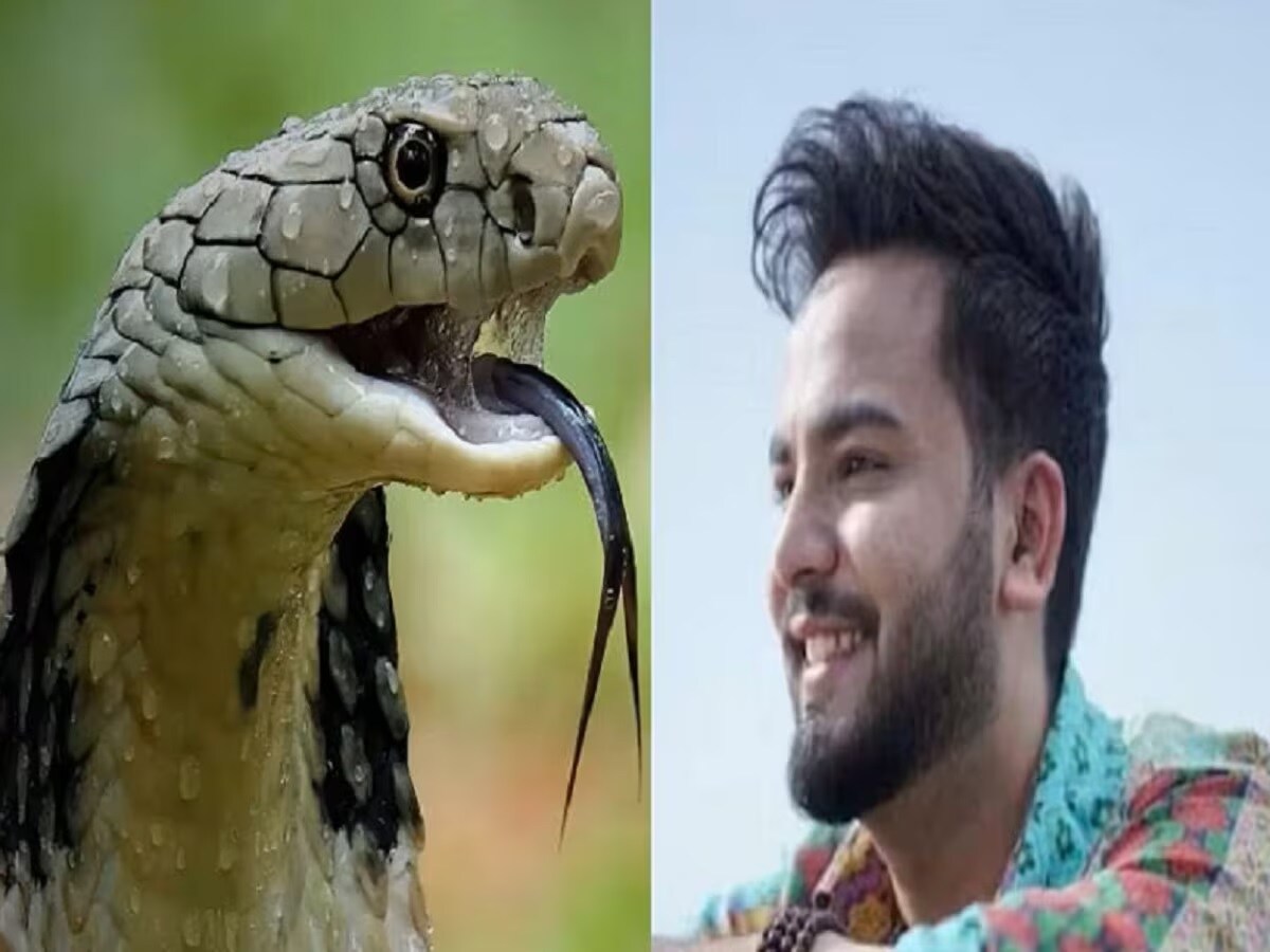 सर्प दंश से नशे की पूरी कहानी असली केसों के साथ, कैसे पड़ती है इसकी लत ...