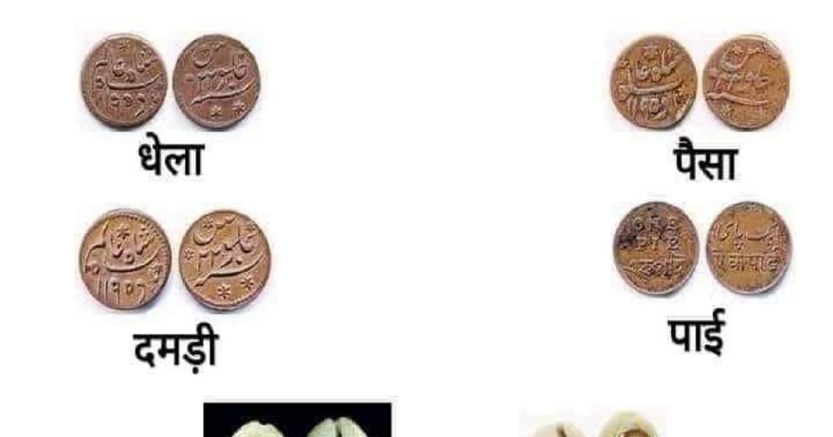 जब रुपया नहीं था तब क्या था, कितनी कीमती थी फूटी कौड़ी और आना? जानिए ...