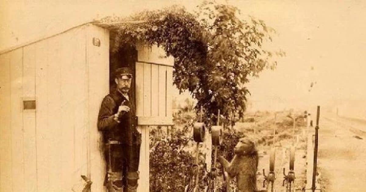 एक लंगूर के इशारे पर 9 साल तक चली ट्रेनें, काम में कभी नहीं मिली गलती ...