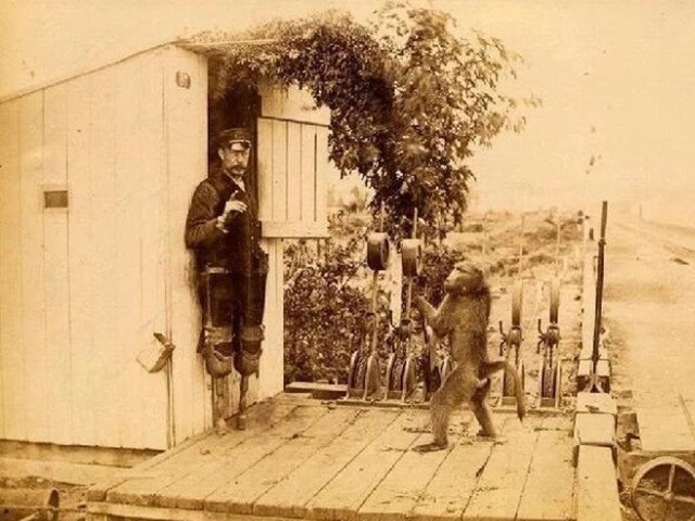 एक लंगूर के इशारे पर 9 साल तक चली ट्रेनें, काम में कभी नहीं मिली गलती ...