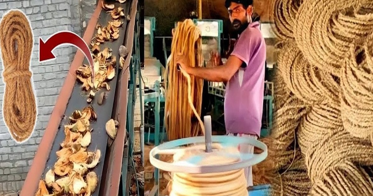 नारियल पानी पीने के बाद क्या होता है बचे खोल का? करोड़ों का है बिजनेस ...