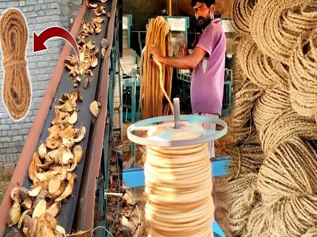 नारियल पानी पीने के बाद क्या होता है बचे खोल का? करोड़ों का है बिजनेस ...