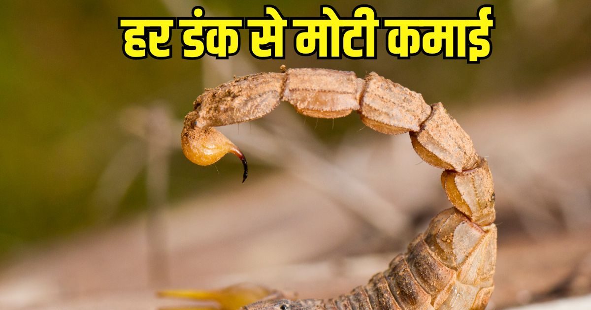 दुनिया रखती है गाय-भैंस, ये बंदा पालता है सांप-बिच्‍छू, 28 साल की उम्र ...