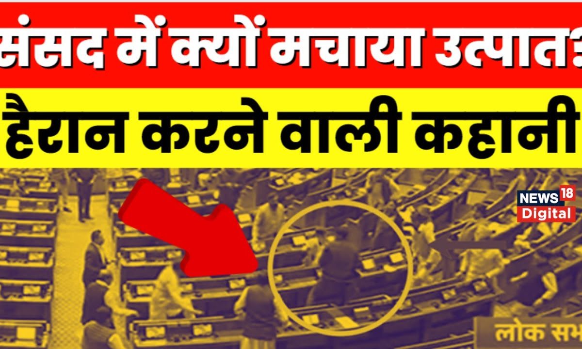 Parliament Security Breach: संसद की सुरक्षा में सेंध लगाने वालों का मकसद क्या था? | Explainer ...