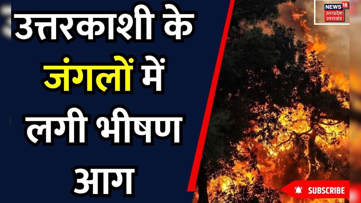 Uttarkashi Forest Fire: उत्तरकाशी के जंगलों में लगी भीषण आग, सुबह चारों ...