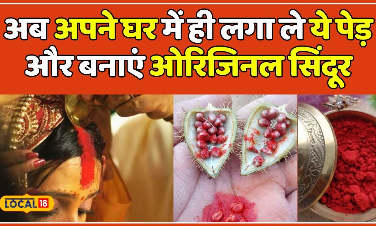 Sindoor Plant: Chemical वाले सिंदूर से मिलेगा निजात, मार्किट में आ गया ...