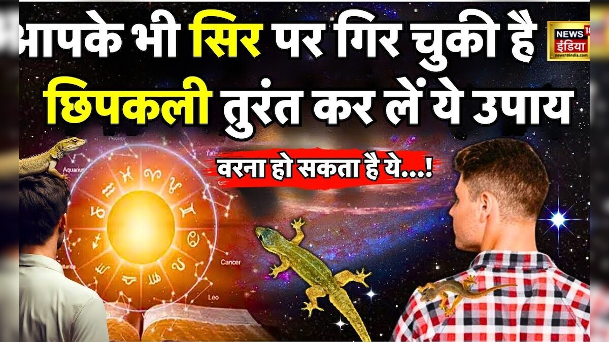 Lizard falling on head : सिर पर छिपकली गिरना शुभ या अशुभ? Chipkali Sar ...