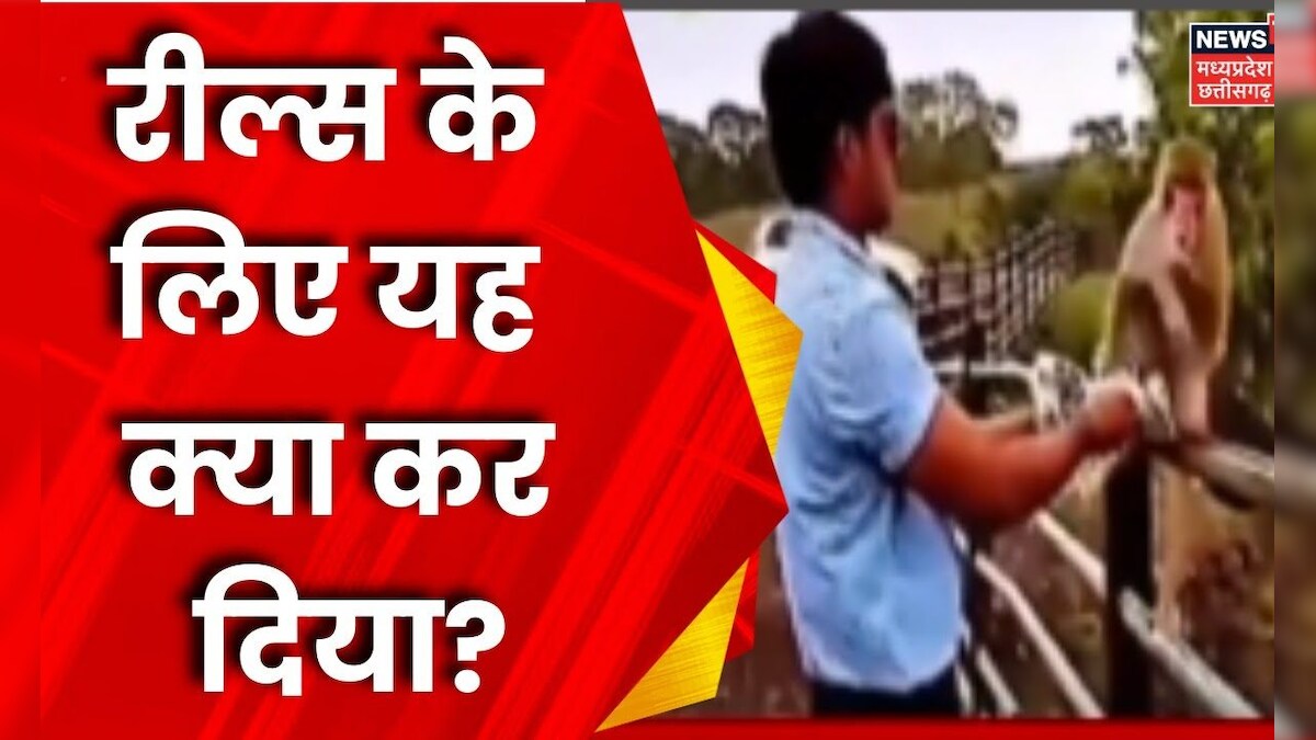 MP News : Indore में Reels बनाने के लिए युवक ने किया बंदर के साथ दुर्व्यवहार | Breaking News ...