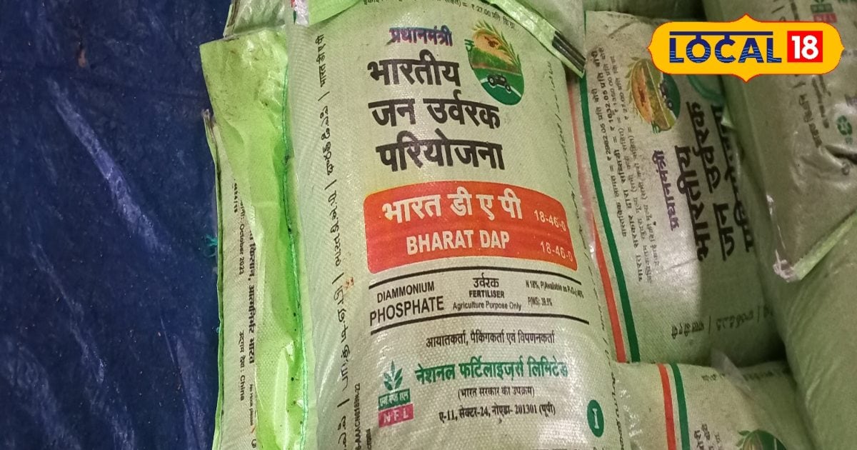 क्यों किसान सिर्फ डीएपी ही खेत के लिए लेते हैं जानें Dap और Npk खाद
