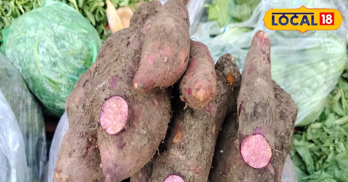 इस सब्जी को खाने से दूर रहता है मोटापा, स्वाद लाजवाब, डायबिटीज के लिए ...