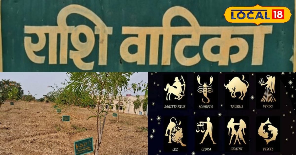 राशि के अनुसार घर पर लगाएं पौधे, स्वास्थ्य पर पड़ेगा पॉजिटिव असर ...