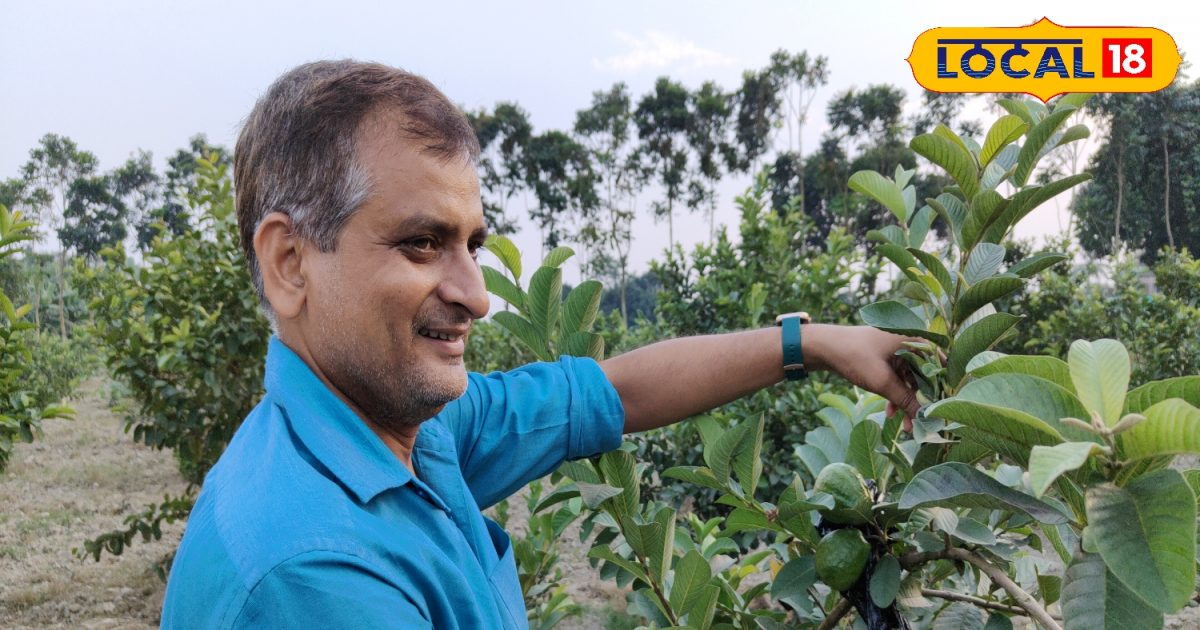 मिलिए बिहार के Guava Man से...इनकी ऑर्गेनिक खेती के CM नीतीश भी हैं ...
