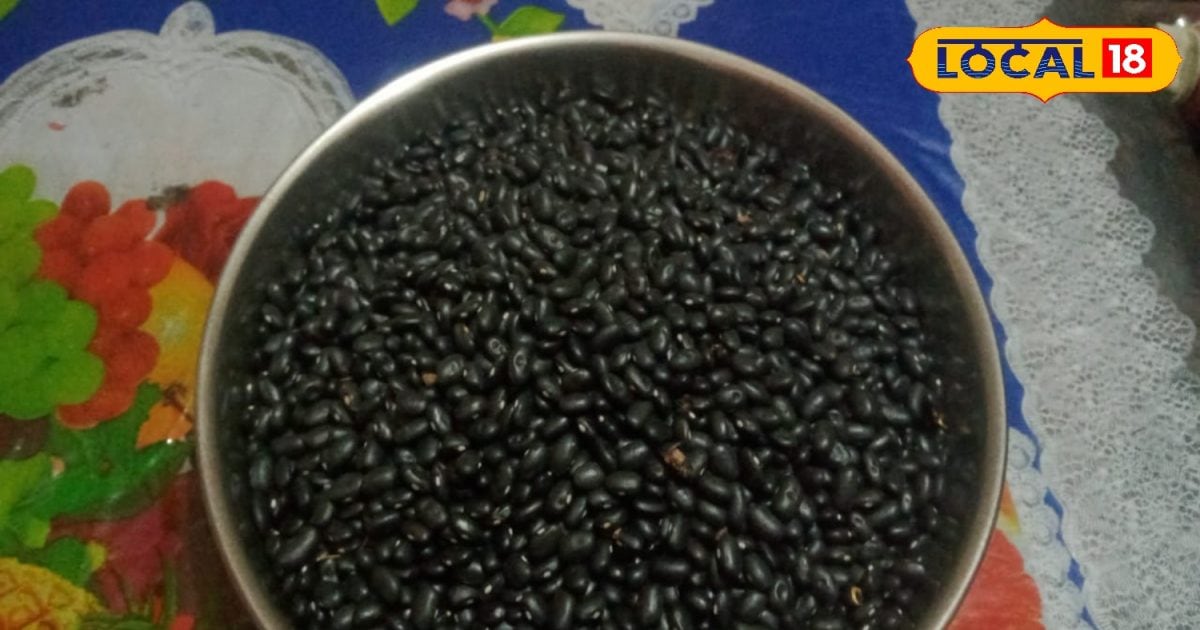 लाल नहीं काला राजमा खाएं... पोषक तत्वों से है भरपूर, देश के इस गांव में ...