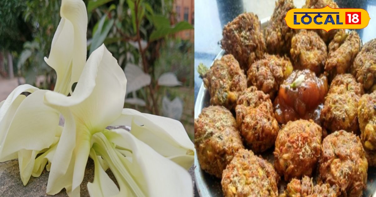 गजब का पेड़ ! जड़, छाल, तना और फूल सब हैं औषधि, पत्तियों से बनती हैं ...