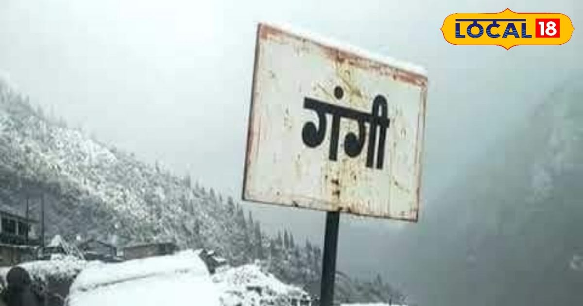 Herbal village gangi of Uttarakhand villagers boost economy by ...