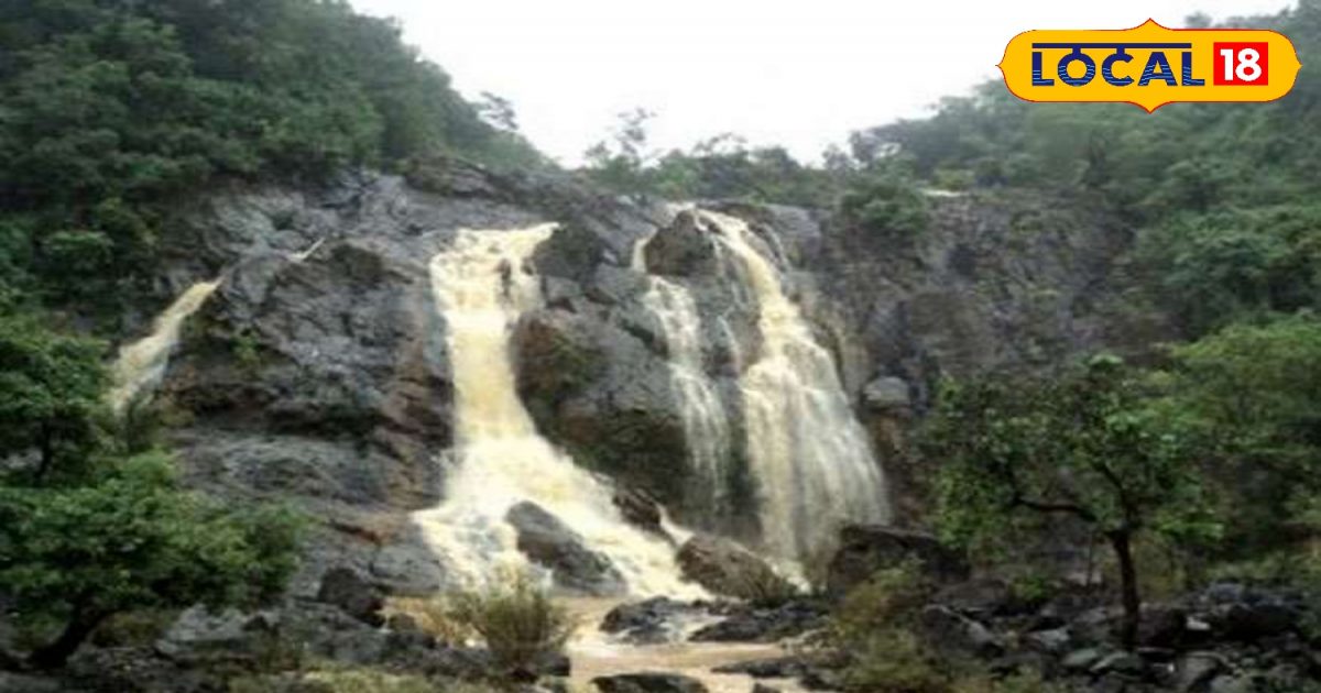 PHOTOS : हरे भरे पहाड़...कल-कल करता झरना और वन भोज, नये साल में ये है ...