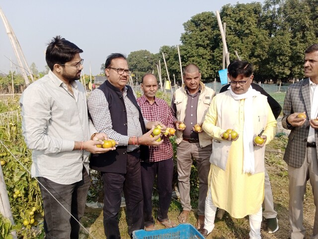यूपी का यह किसान IPM तकनीक से कर रहा सब्जियों की खेती, बंपर हो रही ...