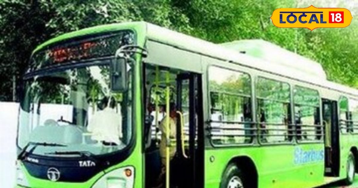 Delhi DTC Bus: क्या आप दिल्ली की इन रंग-बिरंगी बसों का मतलब जानते हैं ...