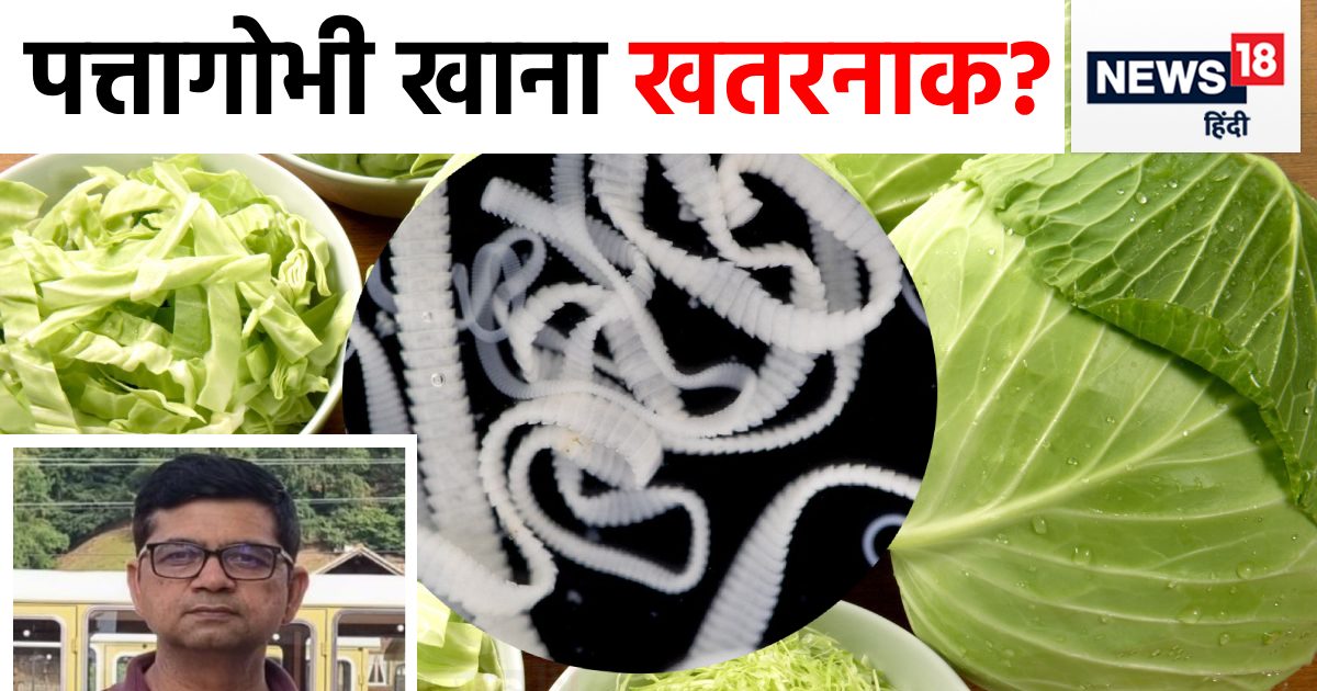 क्या पत्तागोभी से आपके दिमाग में घुस सकता है टेपवर्म? किस तरह करना ...