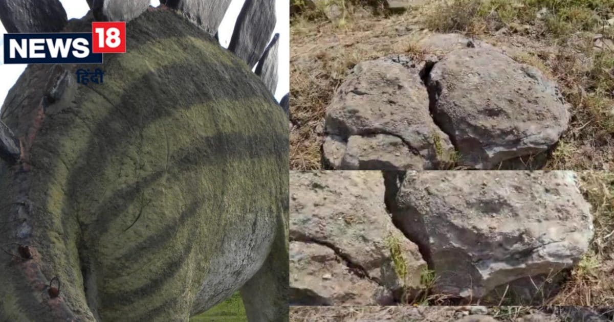 कुलदेवता समझकर पूजा करते रहे लोग, प्रतिमा निकली कुछ और, एक्सपर्ट्स बोले ...