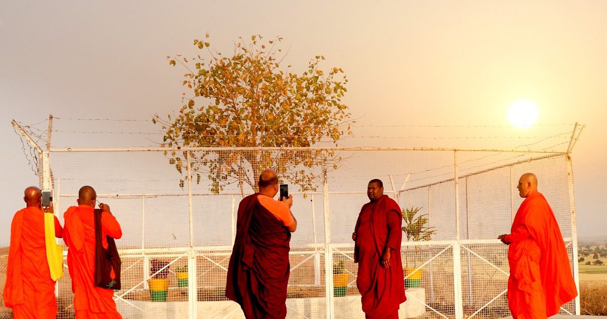 देश का VVIP पेड़, देखभाल में हर साल खर्च होते हैं लाखों, रात-दिन पहरा ...