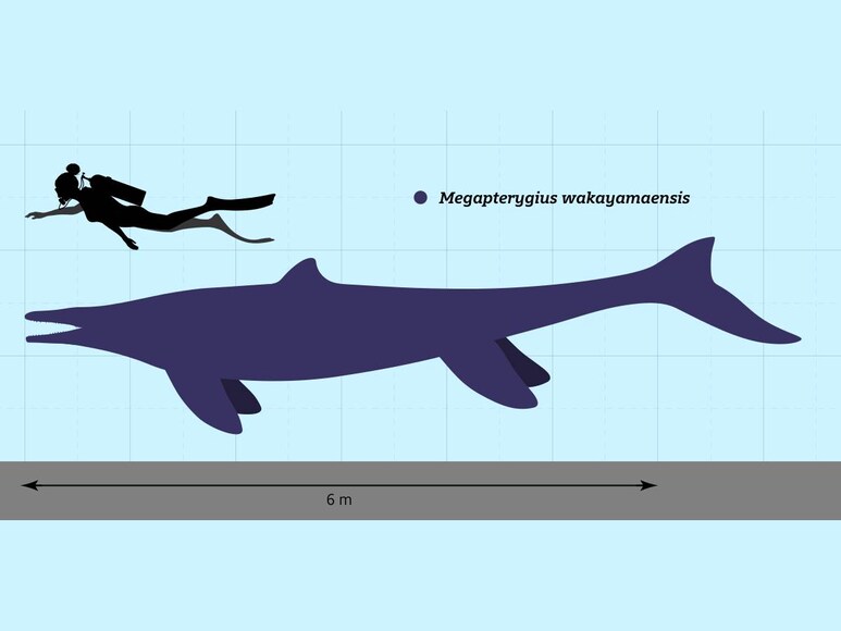 Know about the Ancient Japanese Dragon which terrorised Pacific Ocean ...