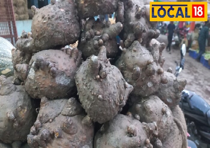 PHOTOS : सूरण की सब्जी से अगर गले में होती है खुजली, तो देसी उपाय ...