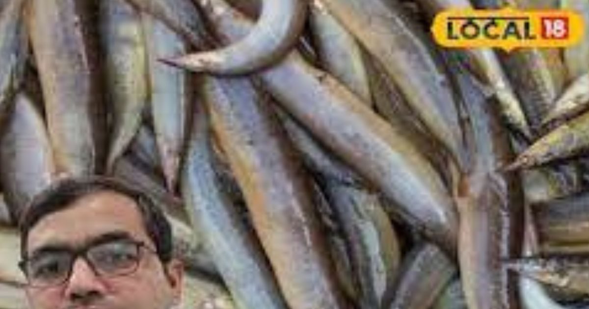 स्वाद के मामले में बेजोड़ है बंगाल की पंकल मछली, प्रोटीन, फास्फोरस और ...