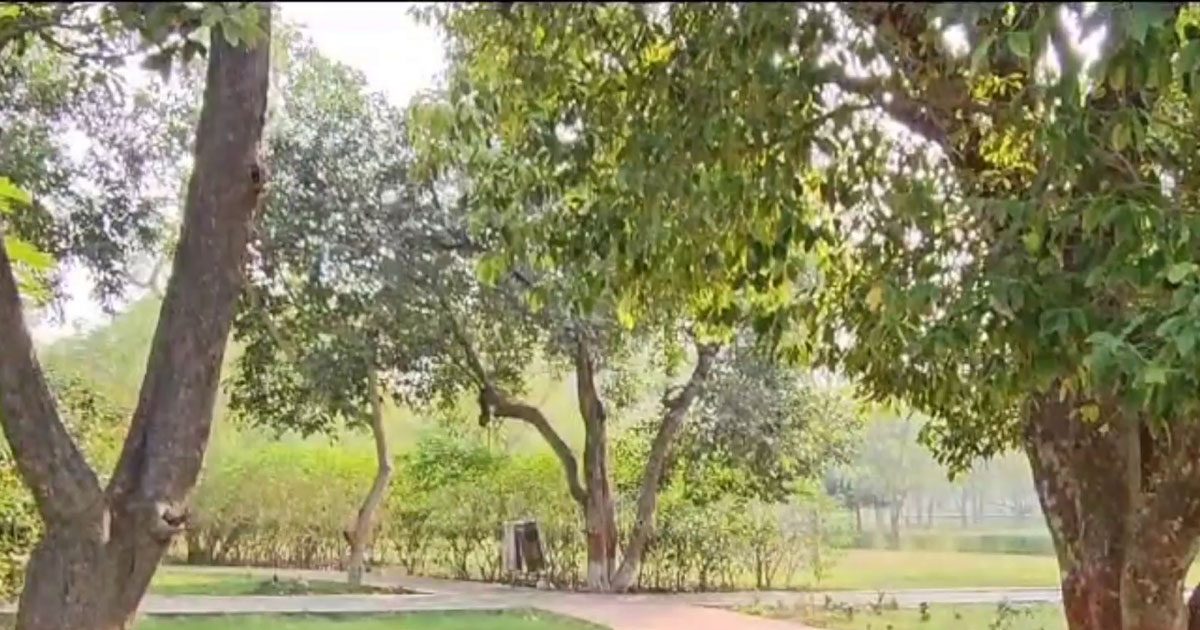 मथुरा से हटेंगे अंग्रेजों के लगाए पेड़, योगी सरकार लगाएगी भगवान ...