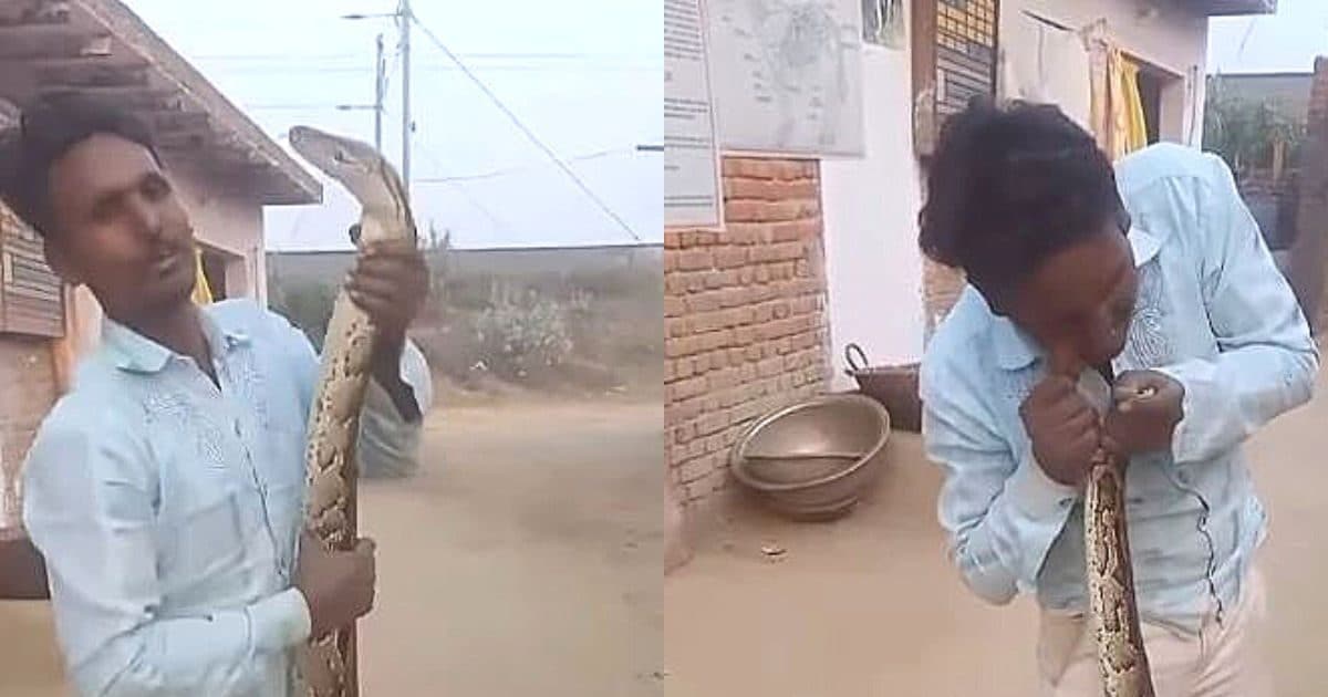 Viral Video: अजगर को हाथ में पकड़कर कर रहा था खिलवाड़, सांप ने जो किया ...