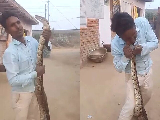 Viral Video: अजगर को हाथ में पकड़कर कर रहा था खिलवाड़, सांप ने जो किया, वो देखकर कांप जाएगी रूह ...