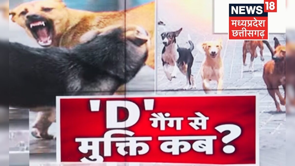 MP Dog Attack News : Dog Bite में 4 साल के मासूम के मौत मामले में मानव ...