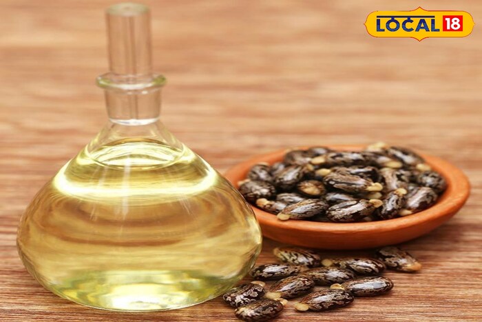 इस पत्ते का तेल औषधि; झड़ते बाल, चेहरे के काले धब्बे कर देगा दूर, मालिश ...