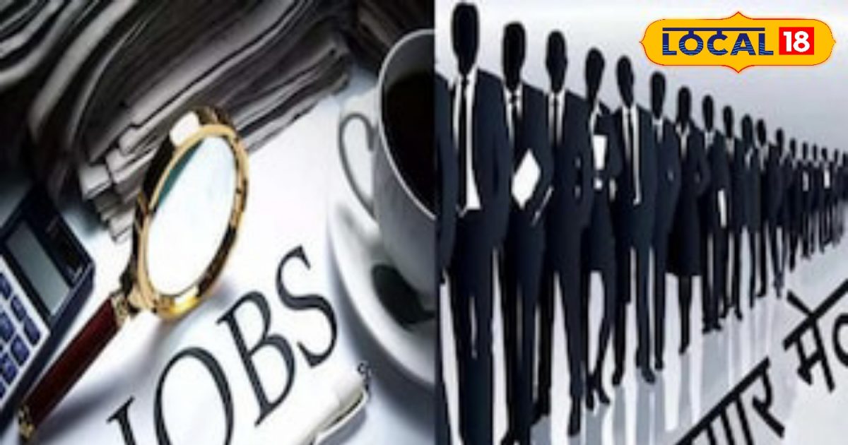 Job Alert 2024: खुशखबरी! मुरादाबाद में होगी नौकरी की बौछार, कल लगेगा ...