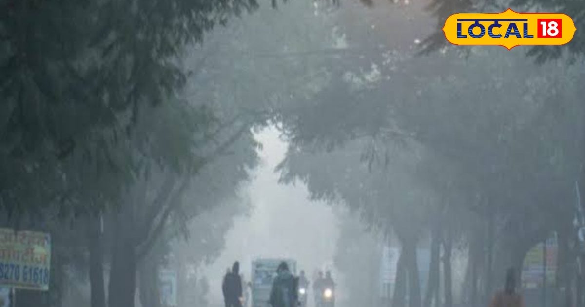 CG Weather Update: पूरे उत्तर भारत में ठंड लेकिन छत्तीसगढ़ में गर्मी ...