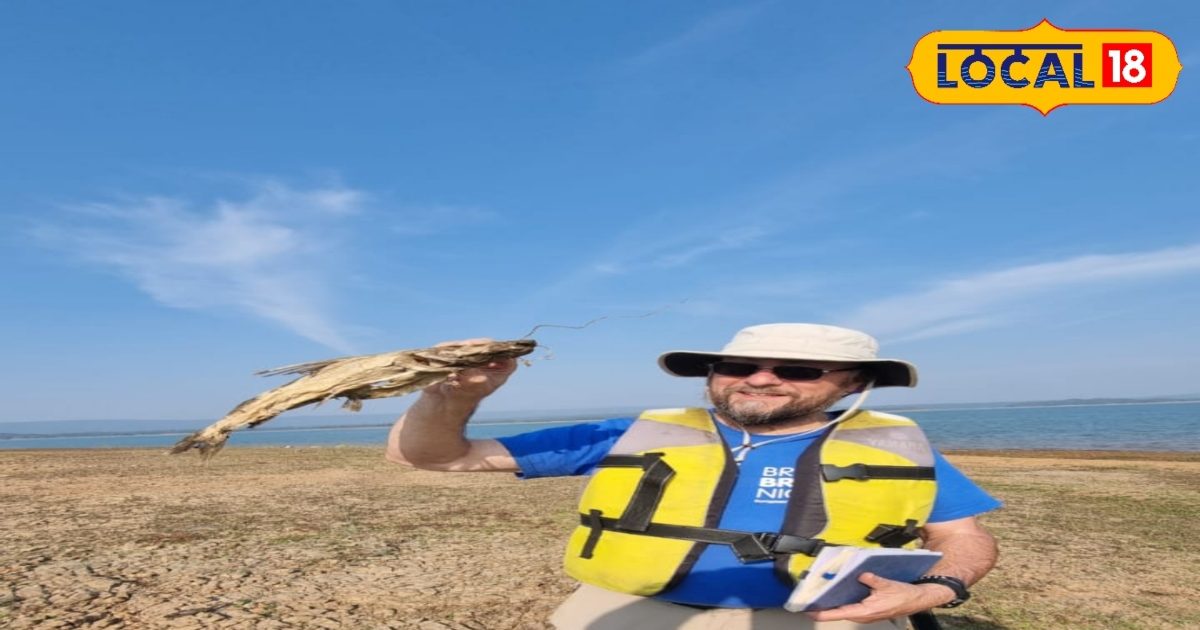 इंग्लैंड से भारत पहुंचे वैज्ञानिक… साफ पानी के शेर की कर रहे तलाश ...