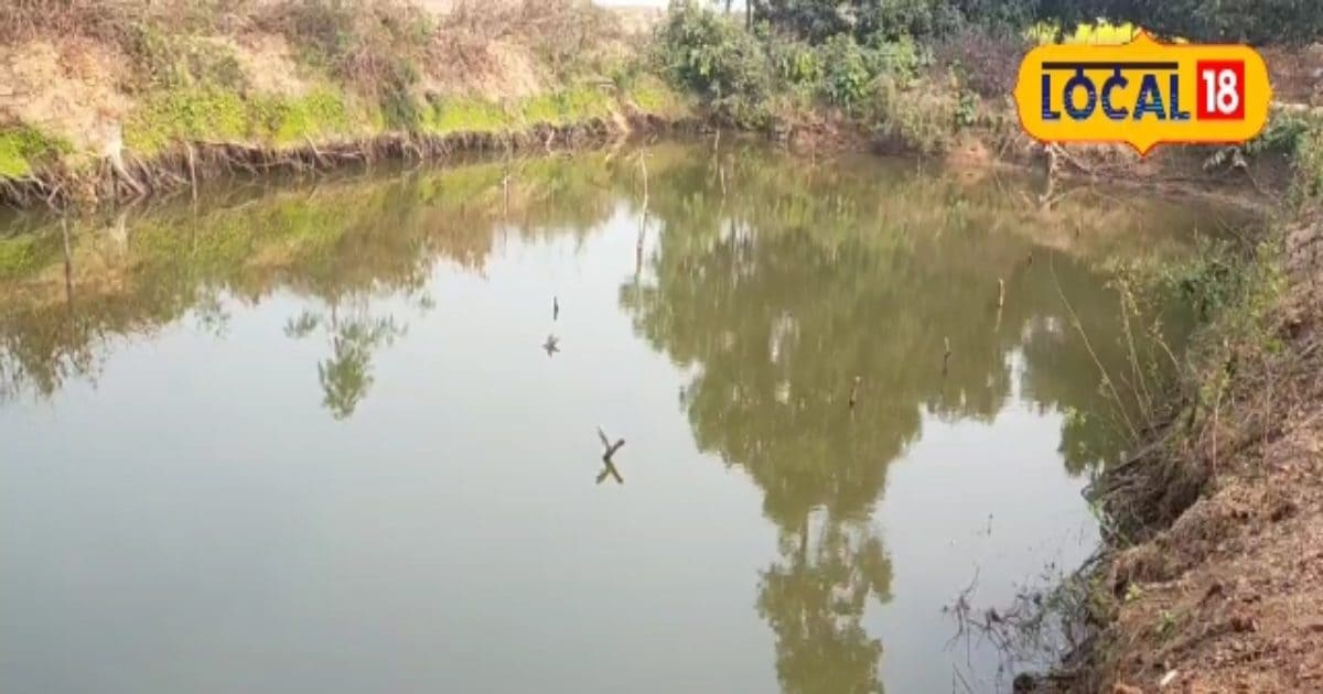 This farmer of Banka has been doing fish farming for 15 years, he earns ...