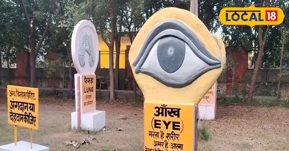 Kota's organ donation park makes people aware, till now the medical ...