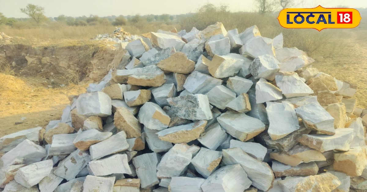 limestone of khinvsar tehsil of nagaur is famous in the world, know ...