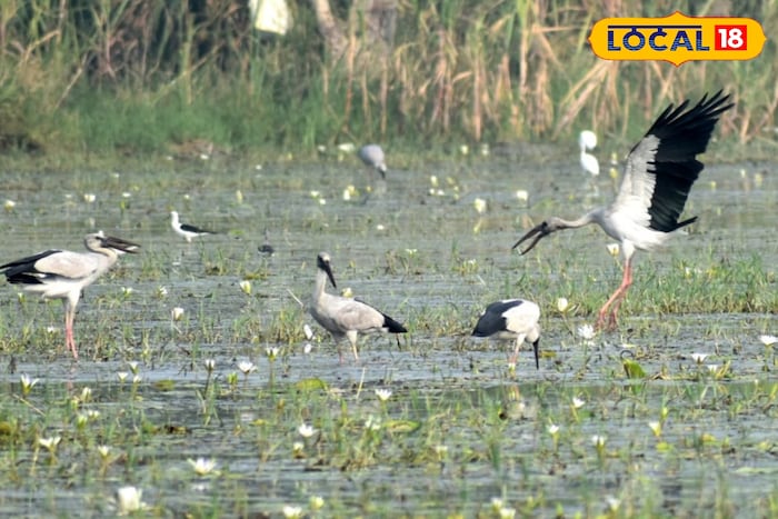 top 5 Tourist places to visit in Meerut-Hastinapur-Fort Parikshitgarh ...