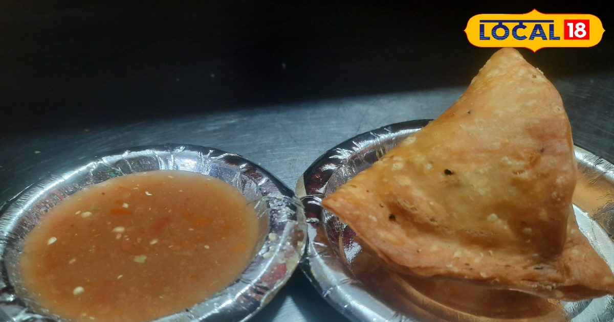 famous samosa in delhi-tried-herbal-ayurvedic-samosa-available-delhi ...