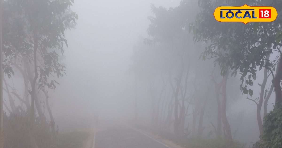 बड़ों की तुलना में बच्चों को 3 गुना लगती है ठंड, भूलकर भी न करें यह ...