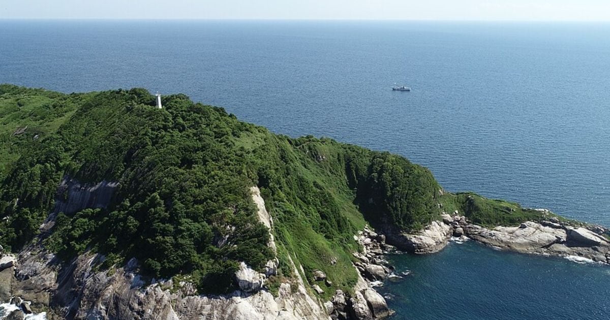 Snake island of Ilha da Queimada Grande full of venomous golden ...