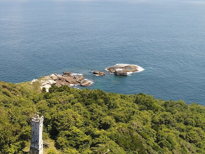 Snake island of Ilha da Queimada Grande full of venomous golden ...