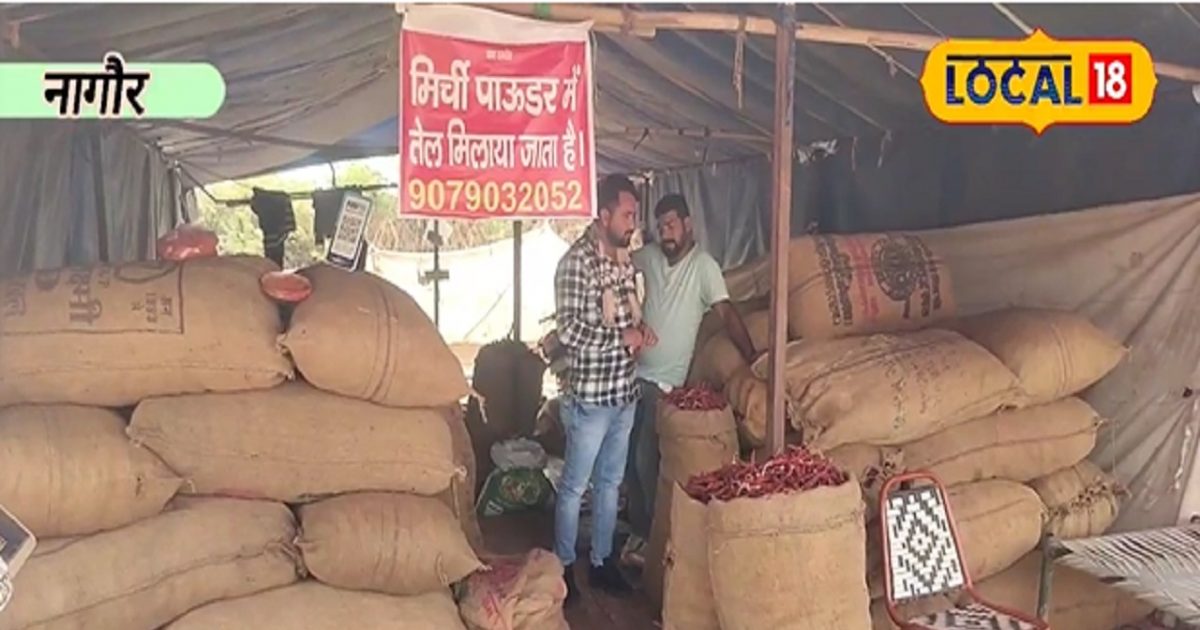 red dry chillies of mathaniya and birai, know what is its specialty and ...