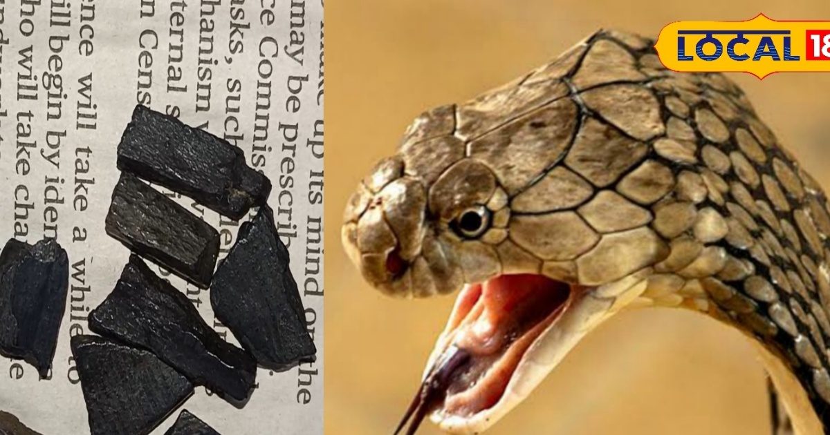 In this hospital of Bihar, there is no medicine, poisonous snake's ...