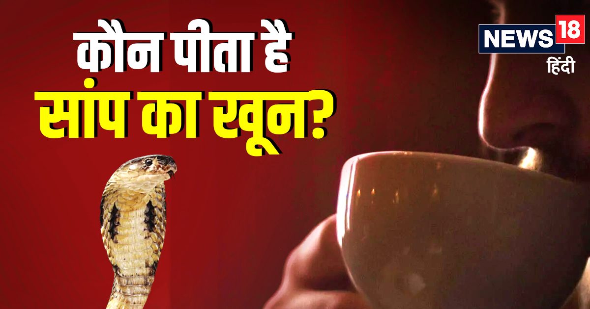 चीनी क्यों पीते हैं सांप का खून, इसके जहर से मरते क्यों नहीं? इस बारे ...