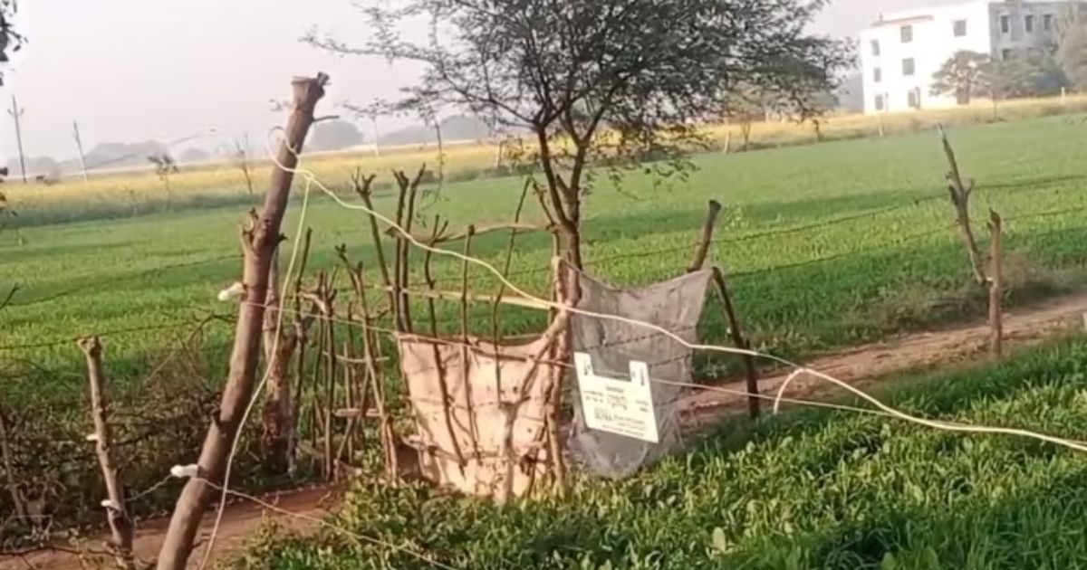 You will be shocked to hear how dangerous the shock wires installed in ...