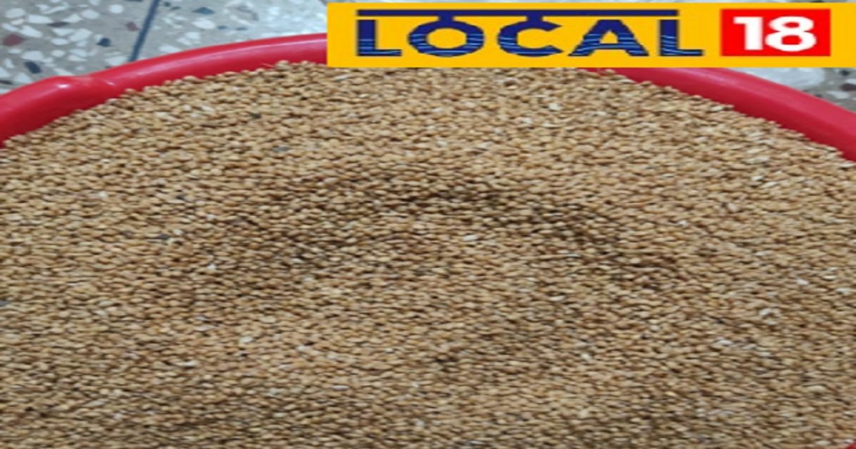 PHOTOS : बिहार की धरती उगलेगी सोना-मोती, ये है आपकी 7 पीढ़ियों से भी ...